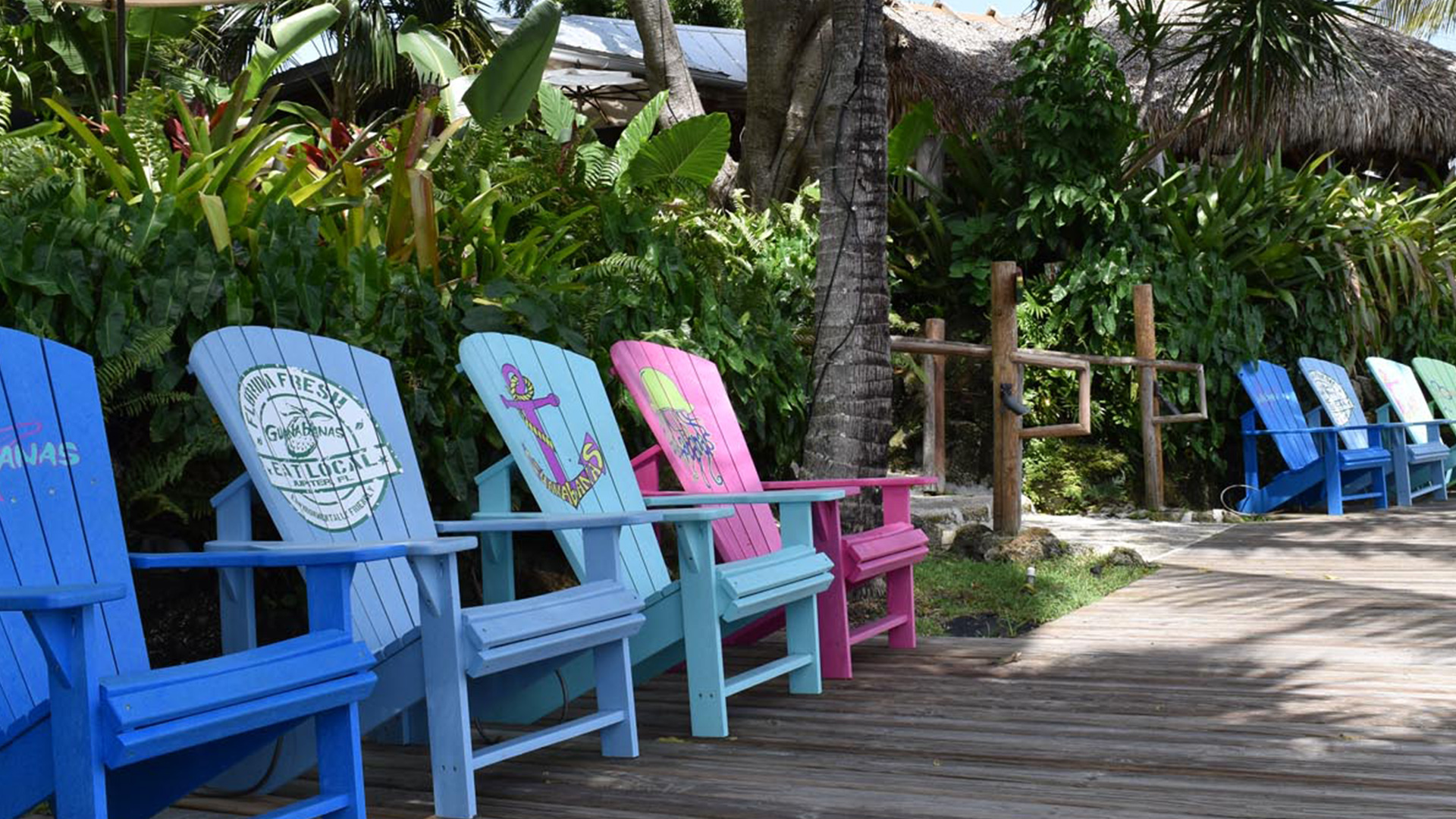 Guanabanas Dinner Cruise - Get Wet Watersports